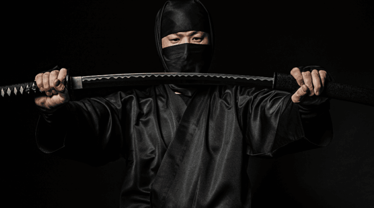 Japans Ninja im Porträt
